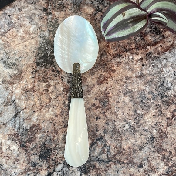 Dining | Mother Of Pearl Spoon | Poshmark